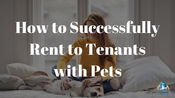 Successfully Renting to Pet Owners - Young Management